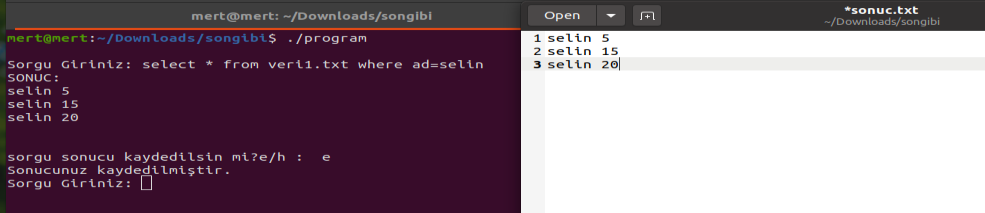 GitHub - Mertiq/Database-Management